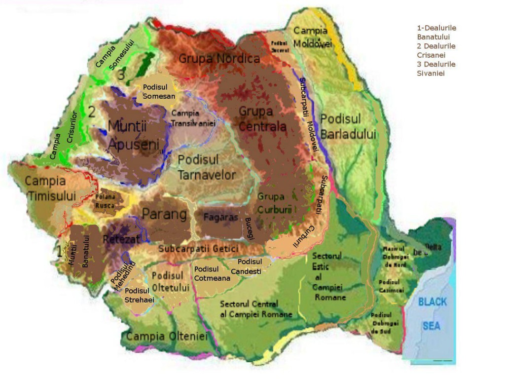 Harta Unitati de Relief Romania | Profu' de geogra'