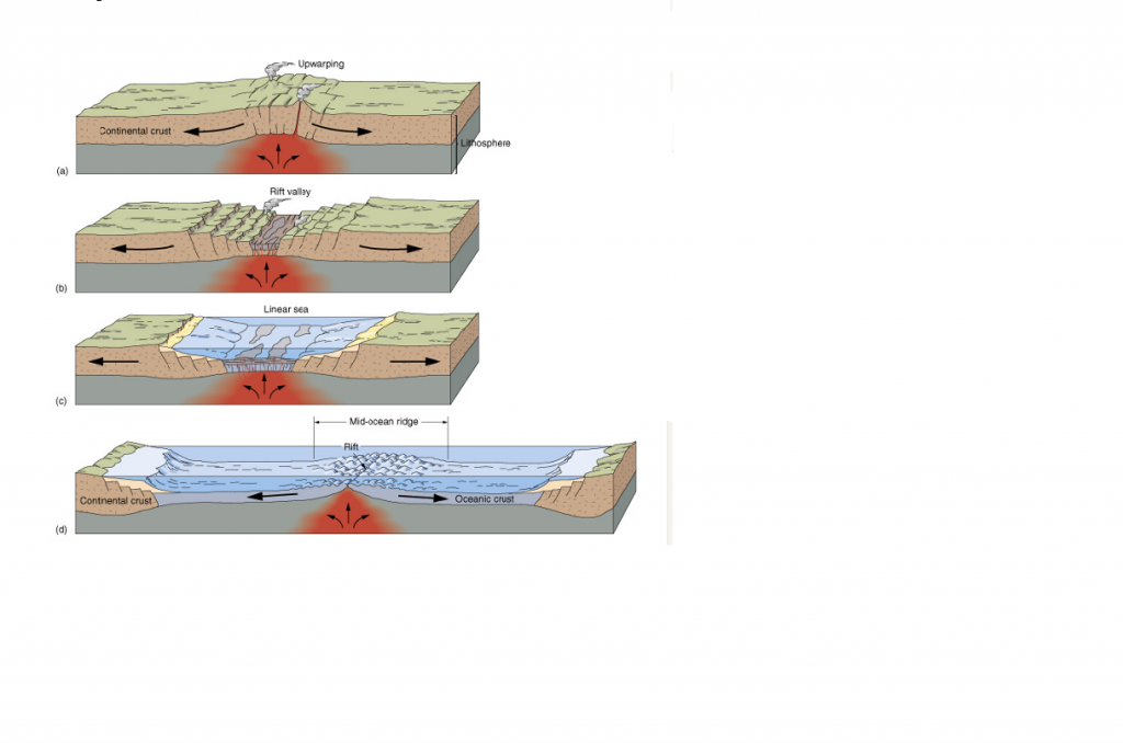 Placile tectonice power point | Profu' de geogra'