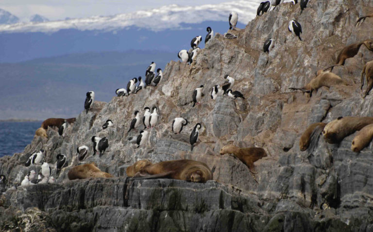 Țara de Foc | Profu' de geogra'