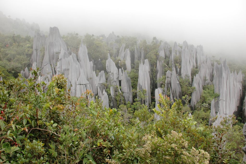 Parcul Național Gunung Mulu | Profu' de geogra'