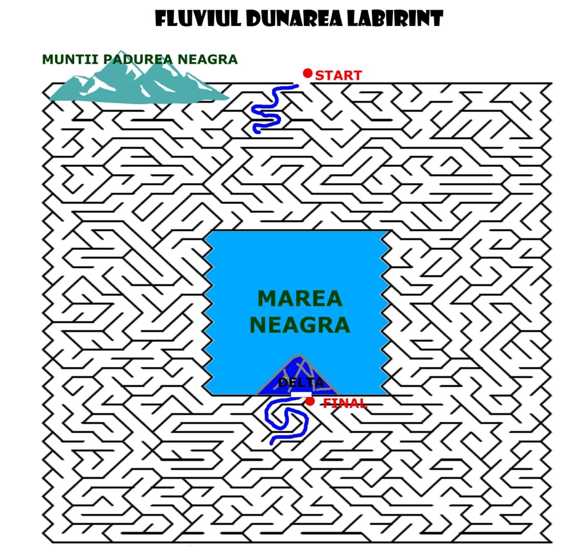 Dunarea-fisa de tip labirint | Profu' de geogra'