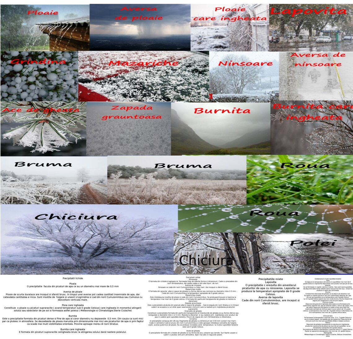 Planse geografie | Profu' de geogra'
