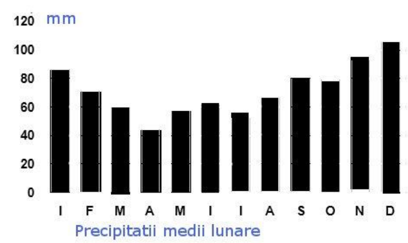 Subiectul III bac geografie